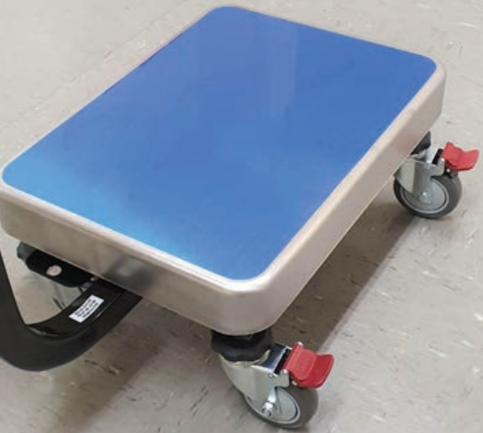 SE Series IP68 Washdown Platform Scales